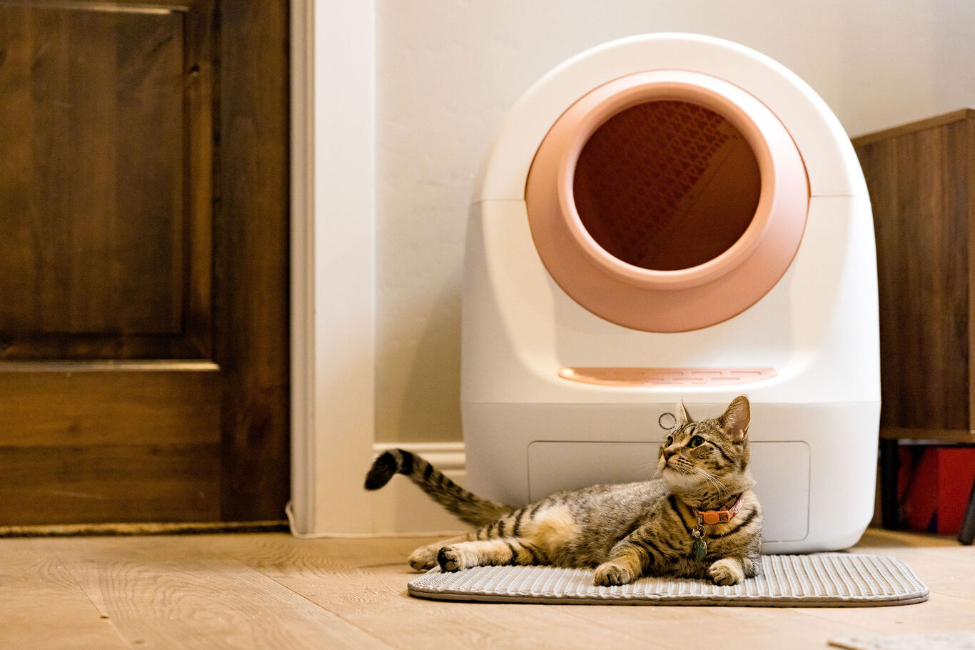 Home [www.pettecc.com.au]